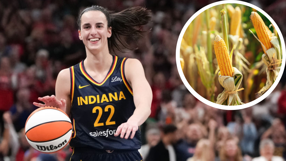 Deshaun Watson’s Burner, FSU Baseball’s Graphic Design Fail, Caitlin ...