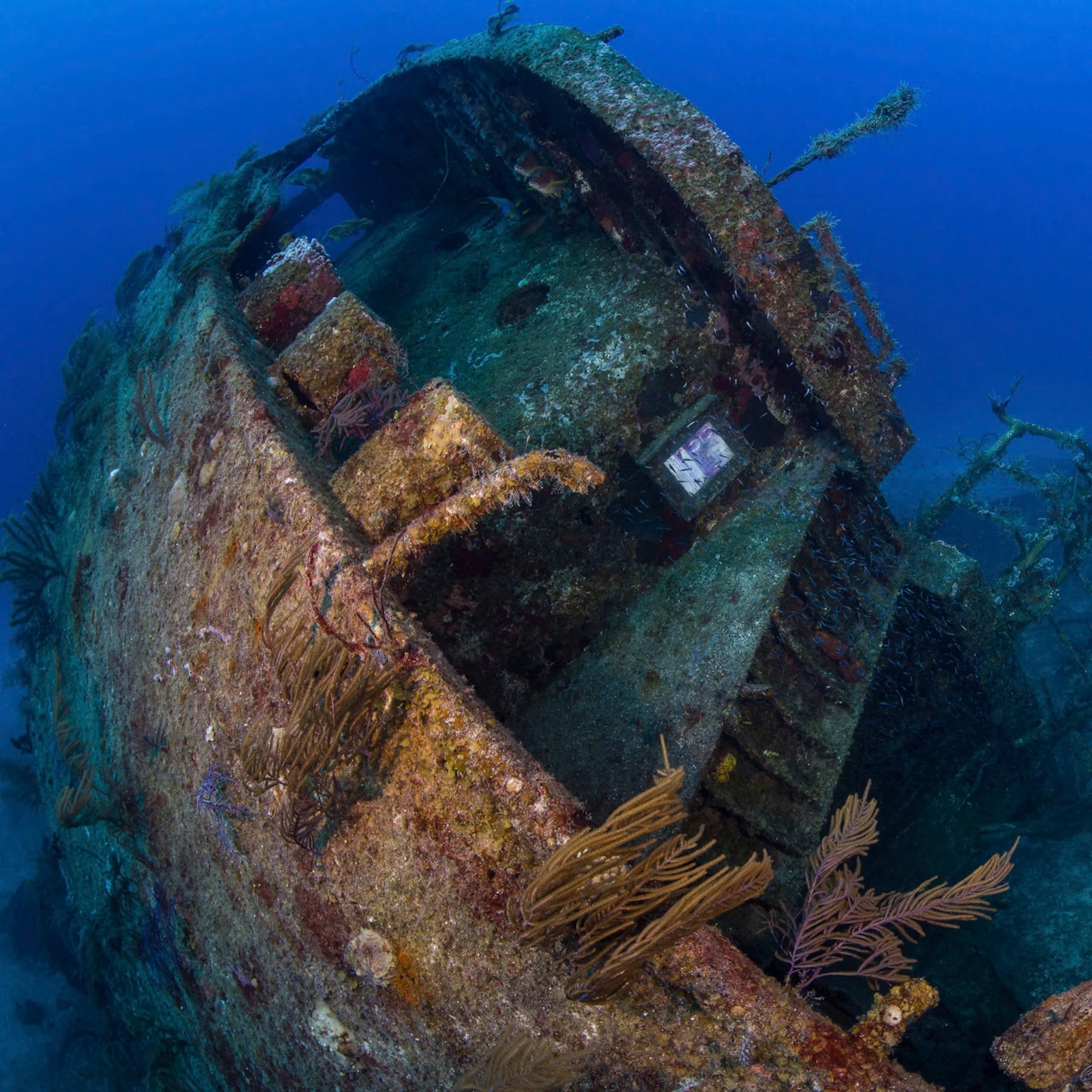 How an Ancient Roman Shipwreck Could Explain the Universe – Daily News