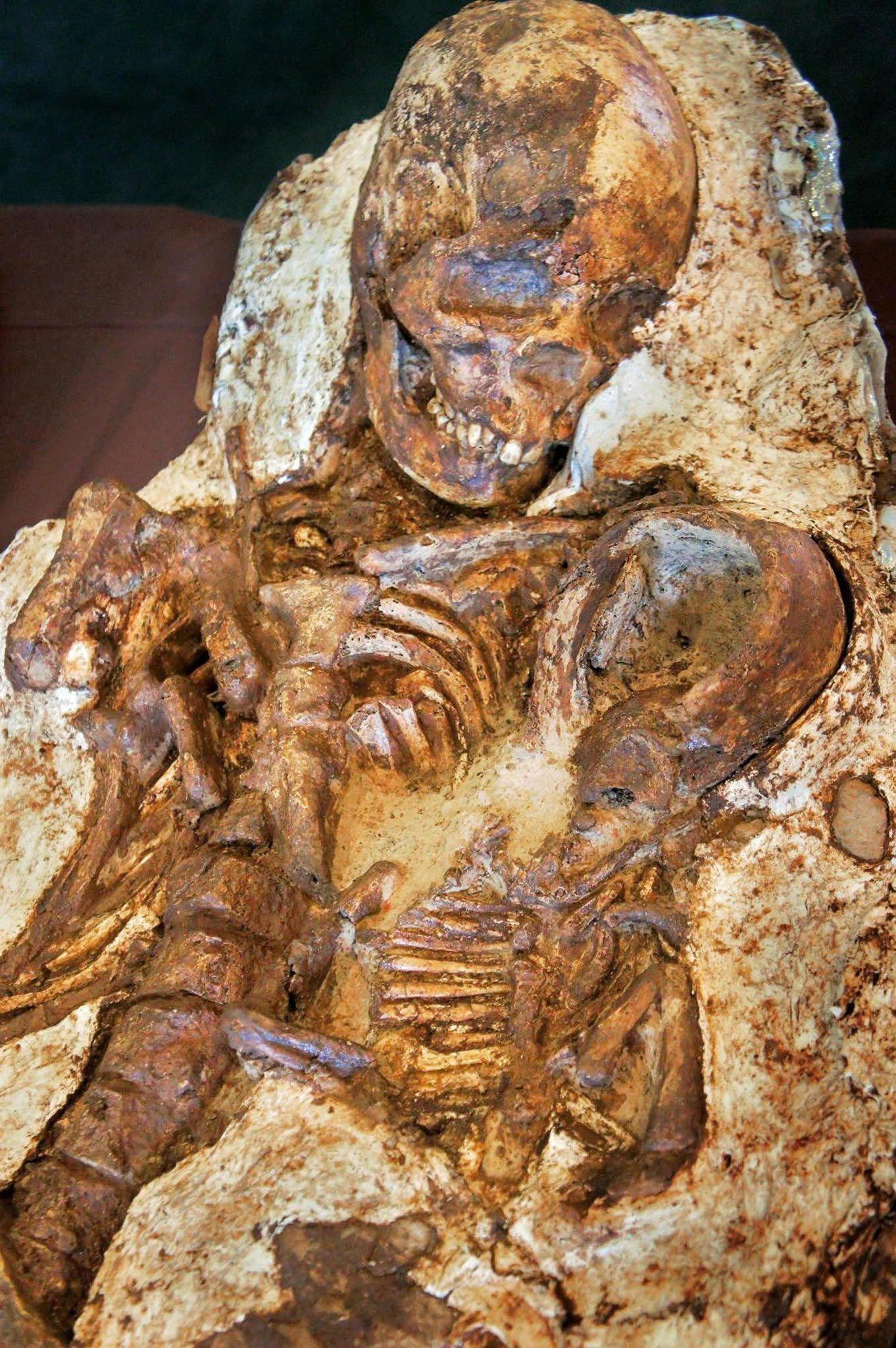 Heartfelt Unearthing: 4,800-Year-Old Fossil of Embracing Mother and ...