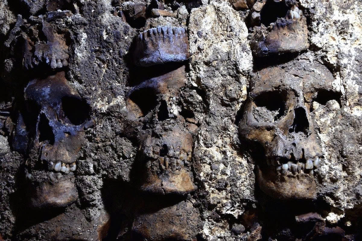 A 500-Year-Old Aztec Tower of Human Skulls Is Even More Terrifyingly ...
