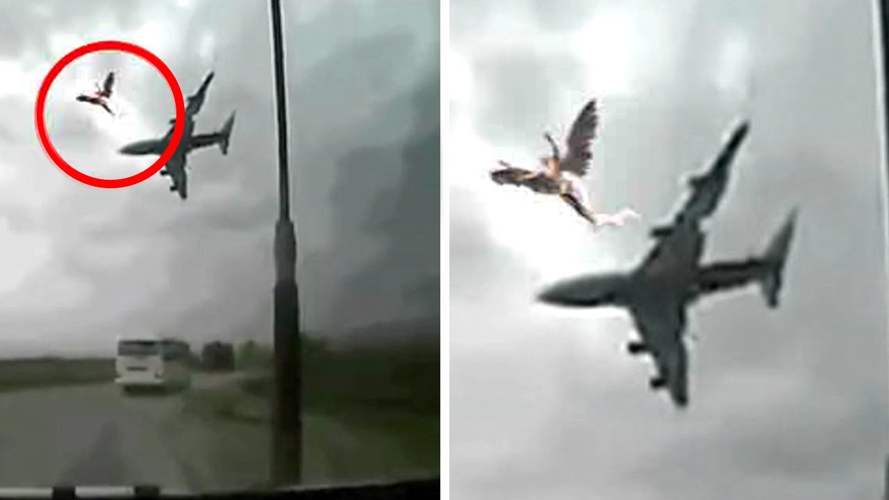 New Drone Footage Reveals The Terrifying Truth About Air France Flight ...