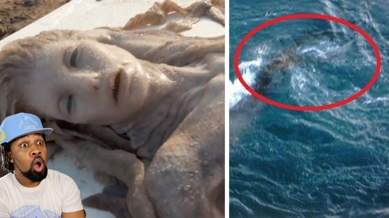 This Man Accidentally Caught A Mermaid And Did Something Shocking ...