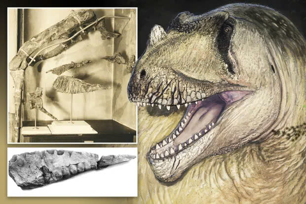 Behemoth horned dinosaur that roamed Earth 95million years ago ...