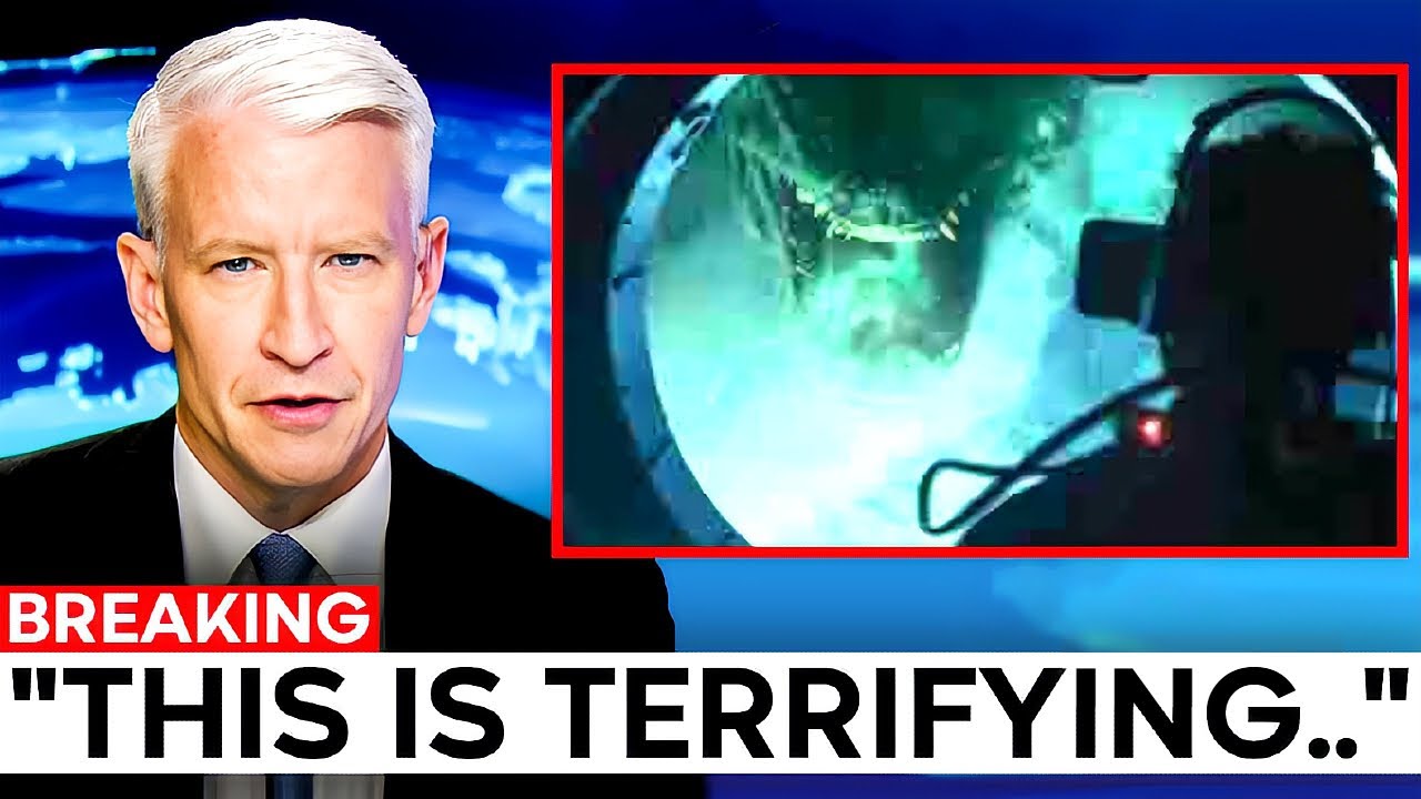 Fishermen Captured Something Out Of This World In The Mariana Trench ...