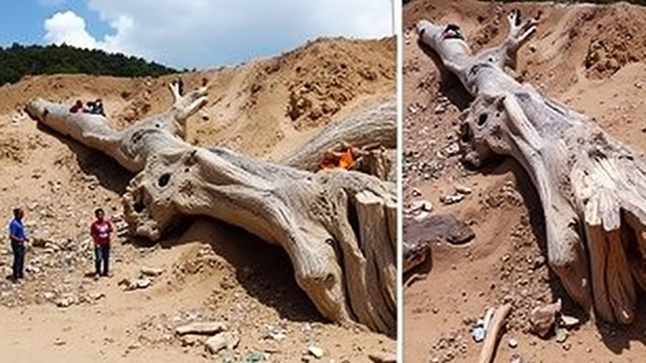 Archaeologists Were Forbidden To Study This – This Can Rewrite History ...